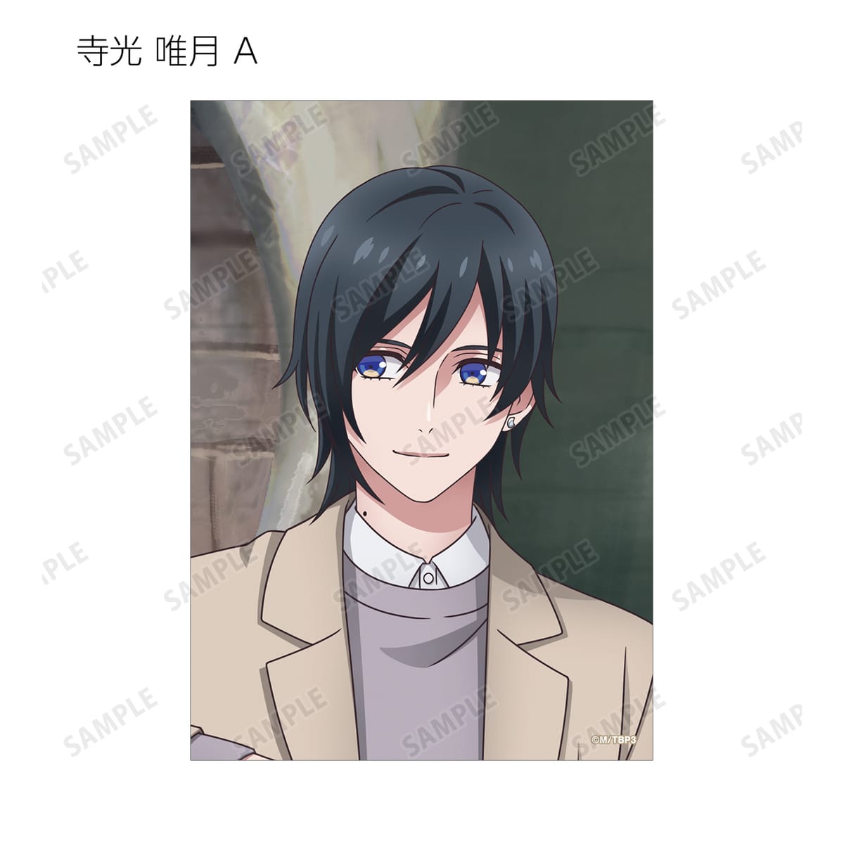 【B-PROJECT ～熱烈＊ラブコール～】描き下ろし 動物とのふれあいver. トレーディングブロマイド(単位/BOX)(16個入) / vvstore