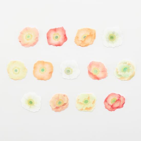 【bande】ポピー / vvstore